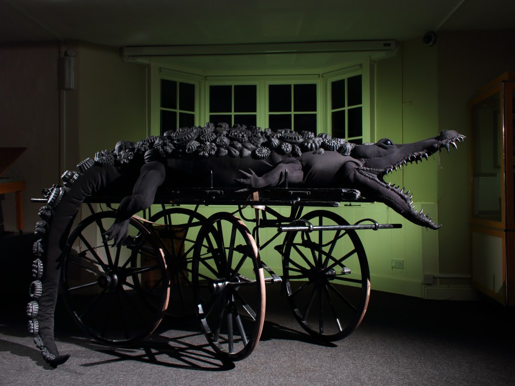 Projects – Dorcas Casey